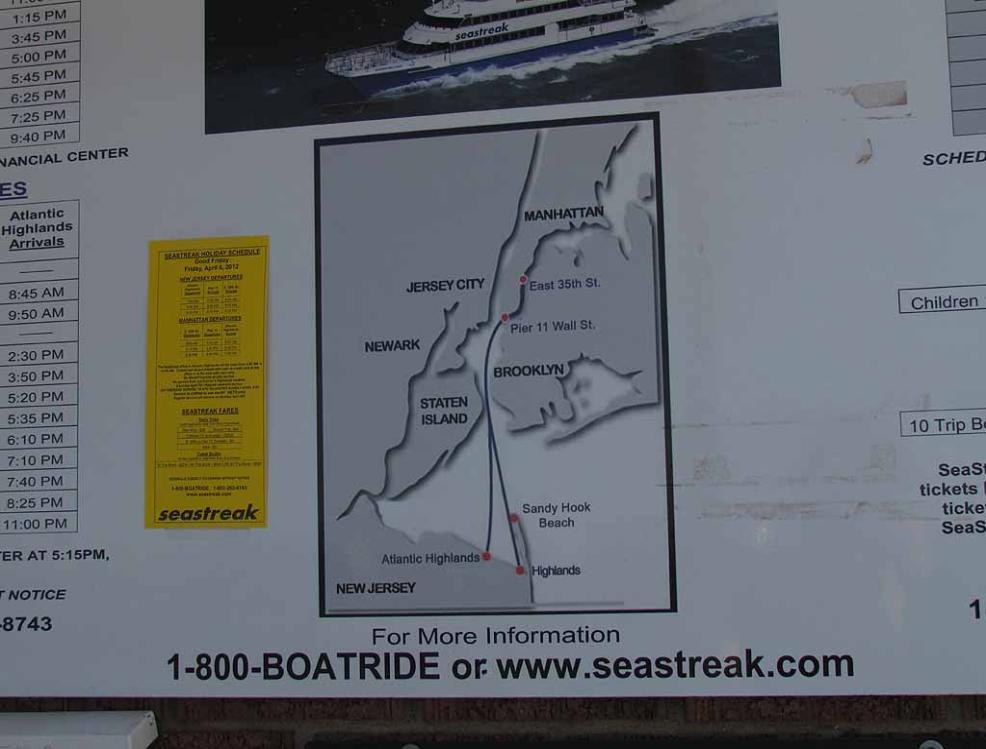 Gannet - Champion of Diving in Action On Sandy Hook Bay