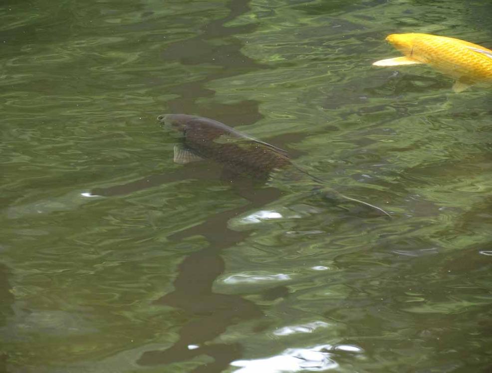 Spring in Holmdel Park in New Jersey