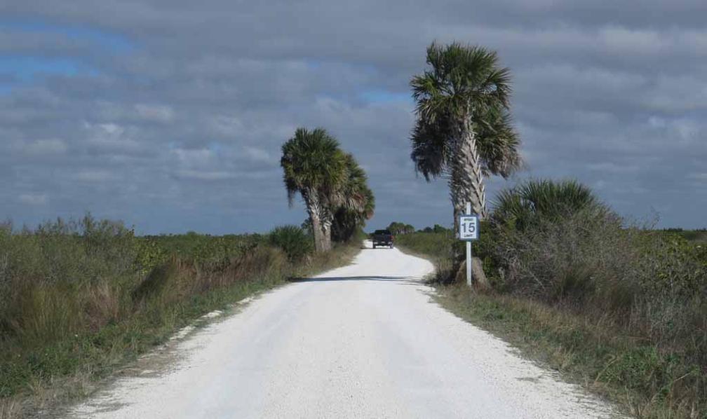 Many Birds in Merritt Island, Viera Wetlands, and Lake Okeechobee in ...