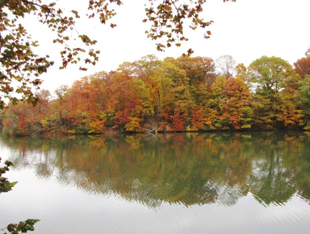 More on Autumn Foliage in Garden State