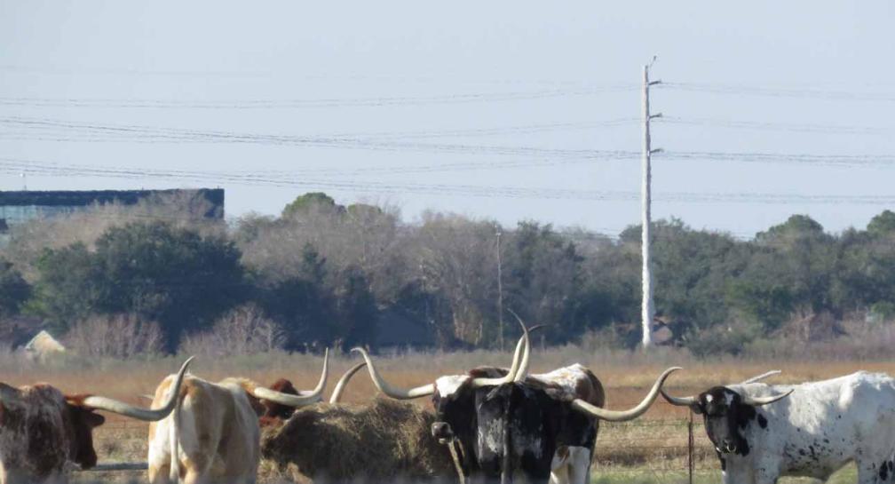 Happy Tour of NASA Space Center in Houston, Texas