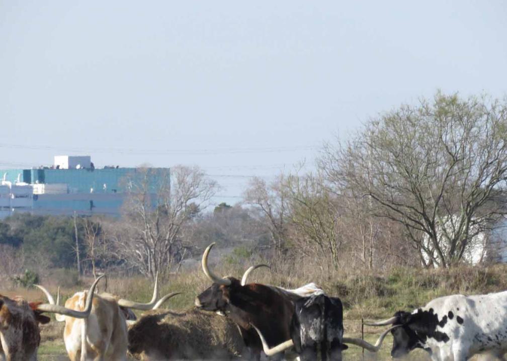 Happy Tour of NASA Space Center in Houston, Texas
