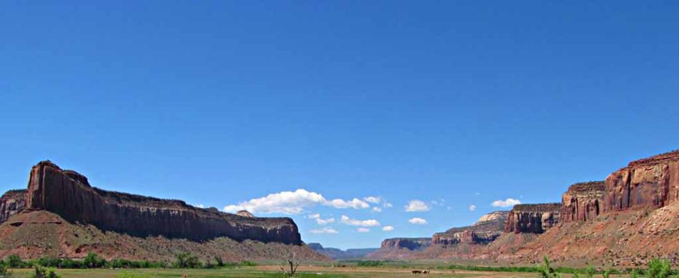 Canyonlands and Dead Horse Point - Part 4 of 2010 Tour of Southwest USA