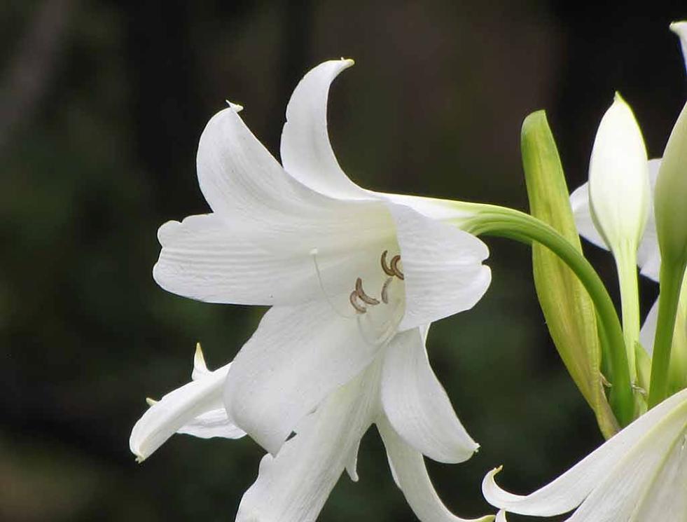 Beautiful Vancouver - Part 2